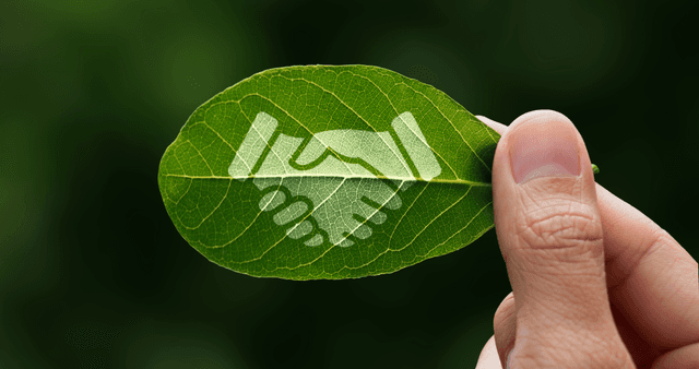 La théorie de Vroom : définition et explications - The Daily Swile